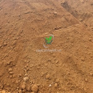 Đất Đỏ Trồng Cây TPHCM [GIAO HÀNG MIỄN PHÍ] - 0977481919